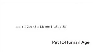 How old is my dog in human years chart | Convert Dog Years to Human Years